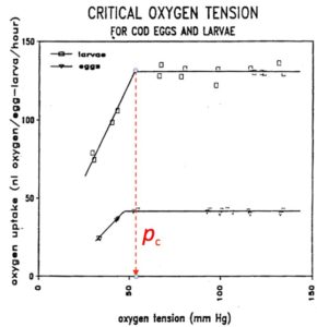 Respirometry – Larvae Knowledge Incubator